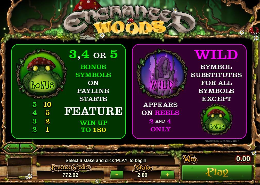 Review Enchanted Woods Slot Game with VegasMaster