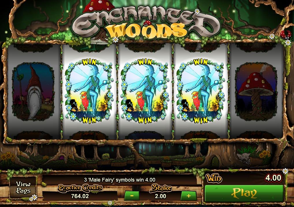 Review Enchanted Woods Slot Game with VegasMaster