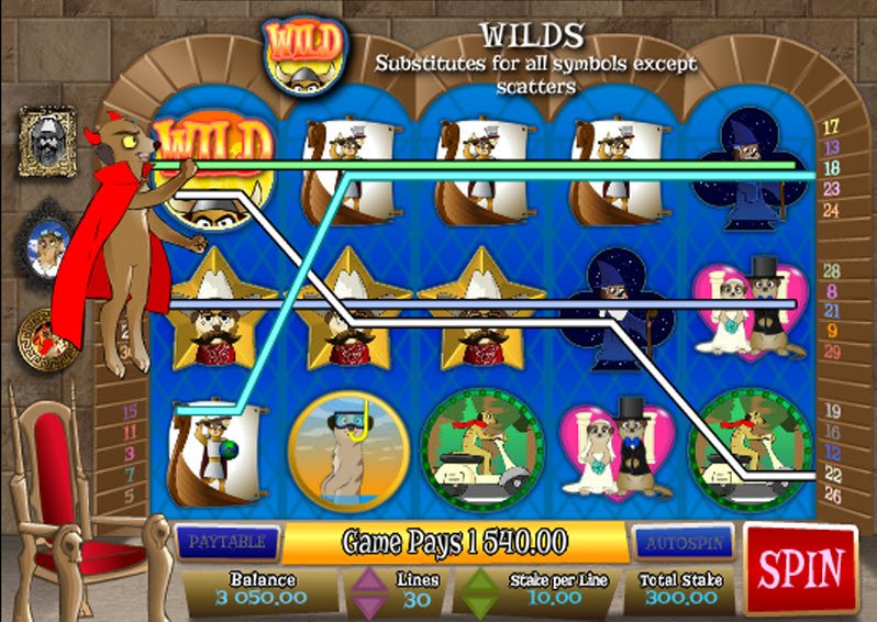 Check Out the Meerkat Mayhem Slot Review